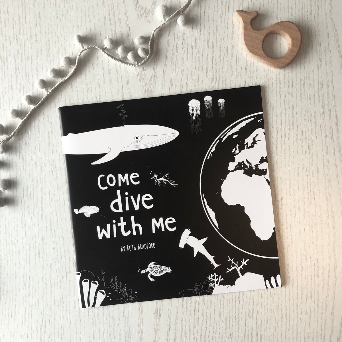 Come Dive With Me story book high contrast sensory storybook